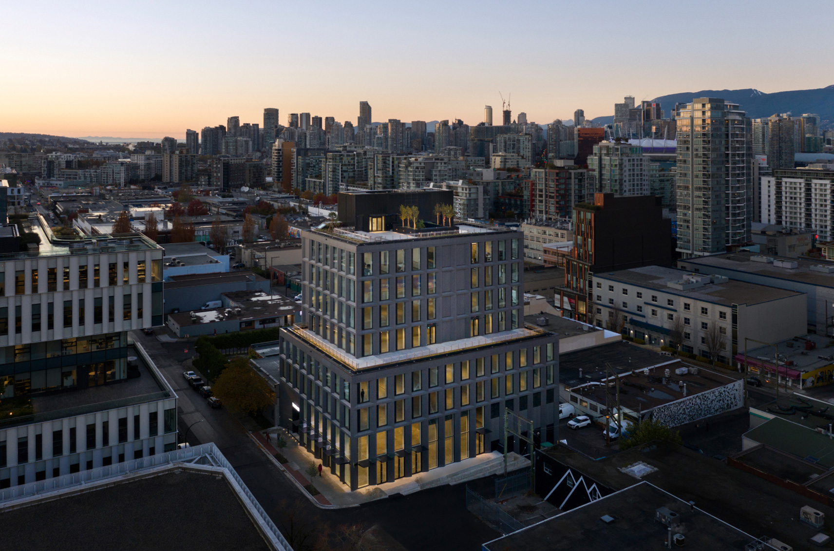 Project – Mondivan