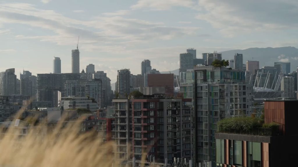 Contact – Mondivan