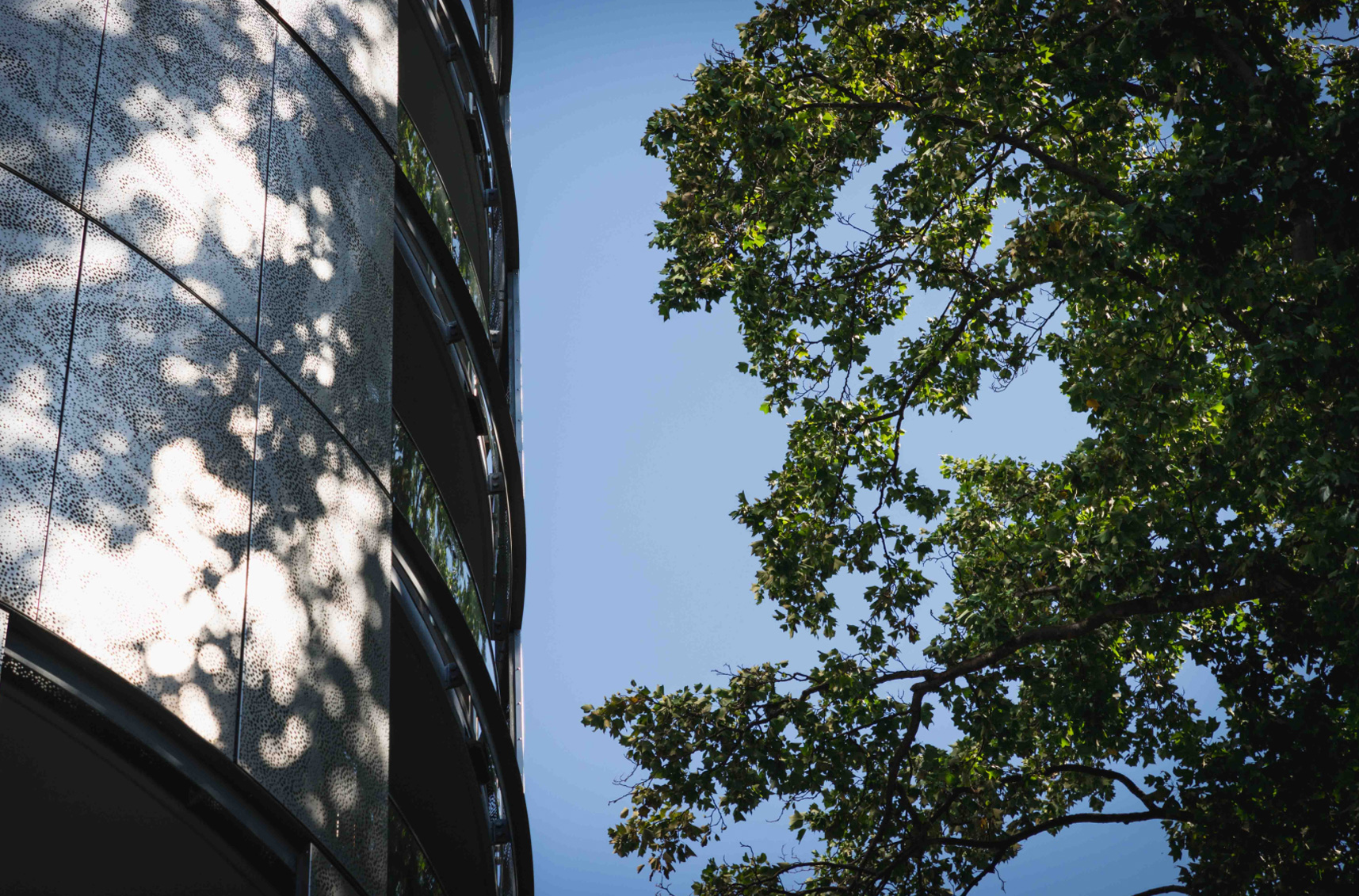 1245 Harwood – Mondivan