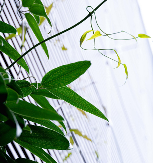 The Workshop – Mondivan