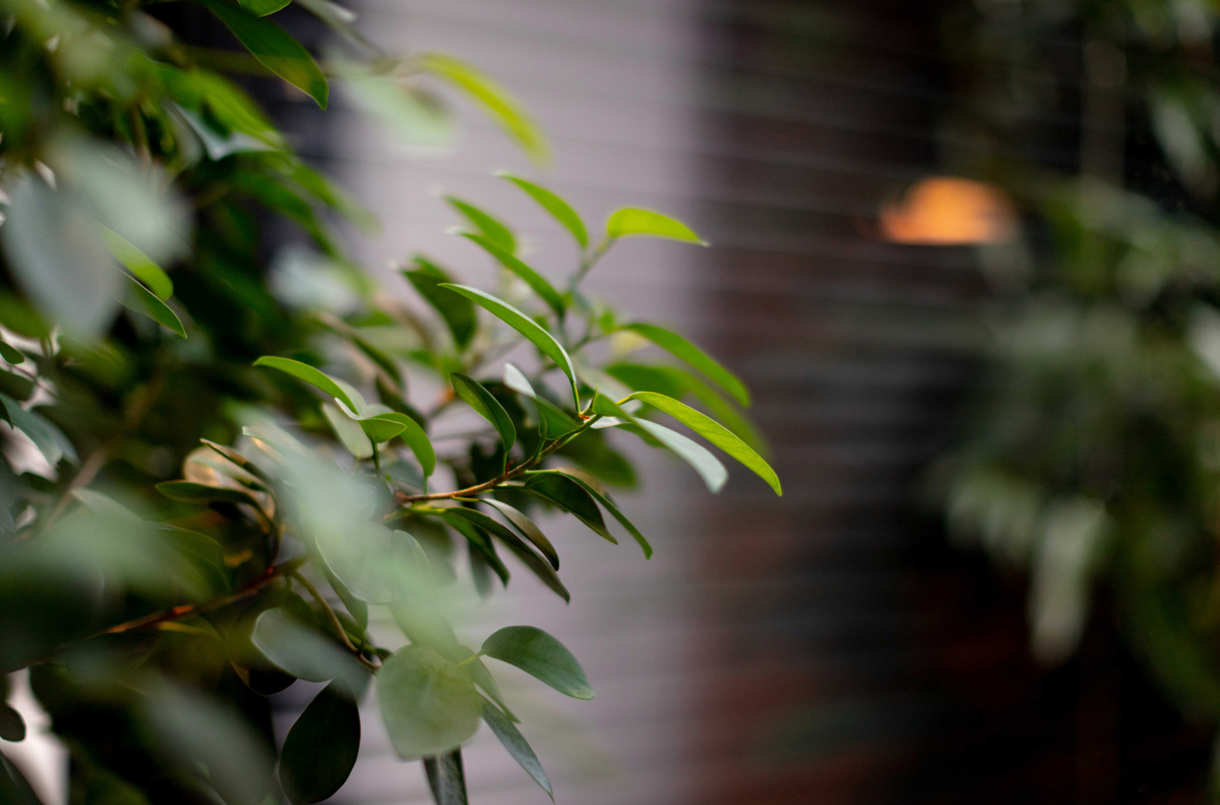 The Workshop – Mondivan