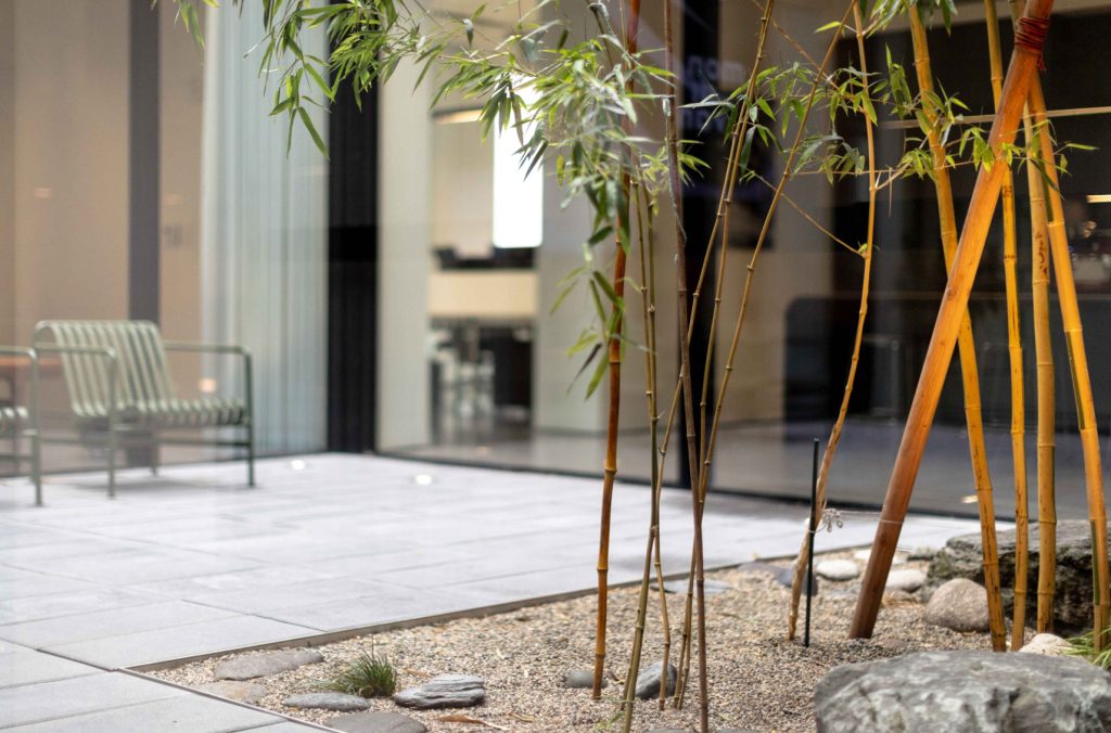 The Workshop – Mondivan