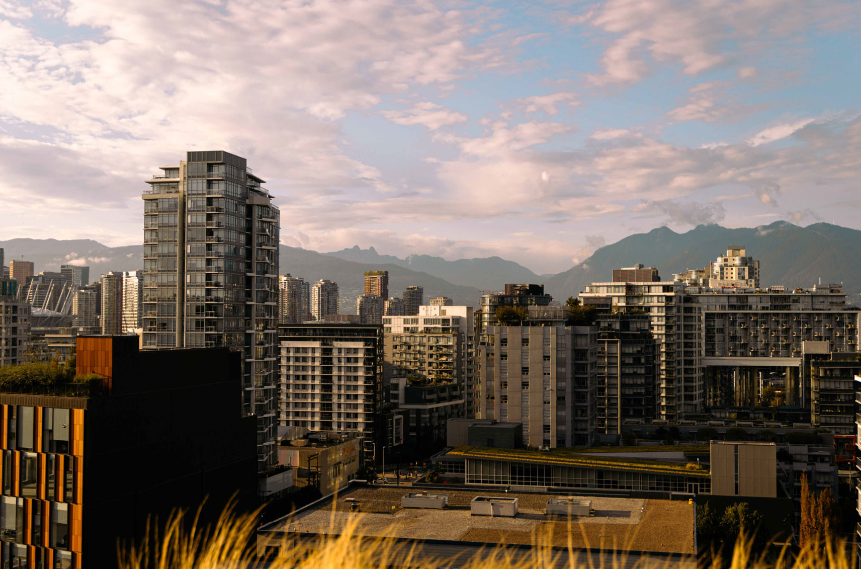 The Workshop – Mondivan